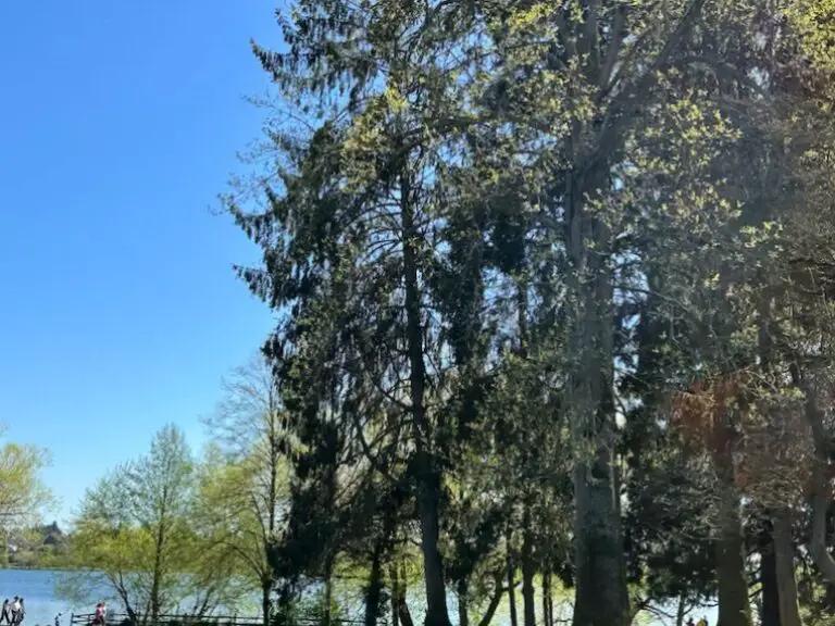 14 Things to Do at Green Lake in Seattle (Full Guide!) - Our Adventure ...