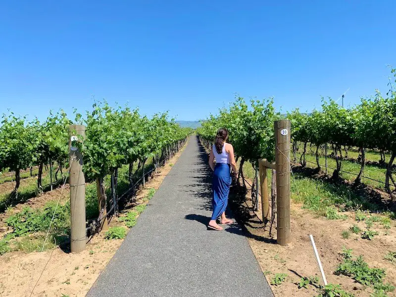 Our Guide to Planning a Wine Tour in Walla Walla - Our Adventure Journal