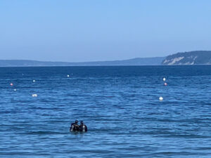 Best Beaches in Edmonds (Full Guide!) - Our Adventure Journal